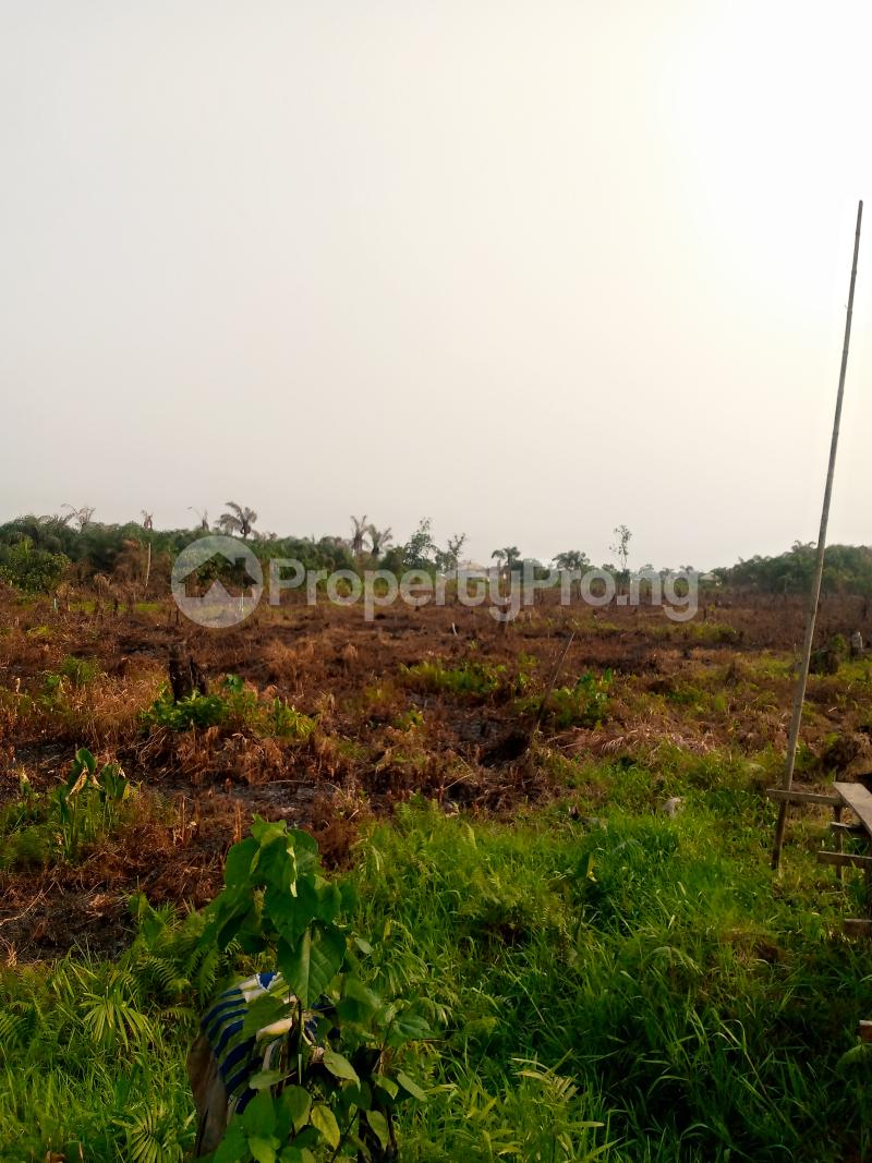 Land in Ijegun Ikotun/Igando Lagos | Land for sale in ikotun-igando ...