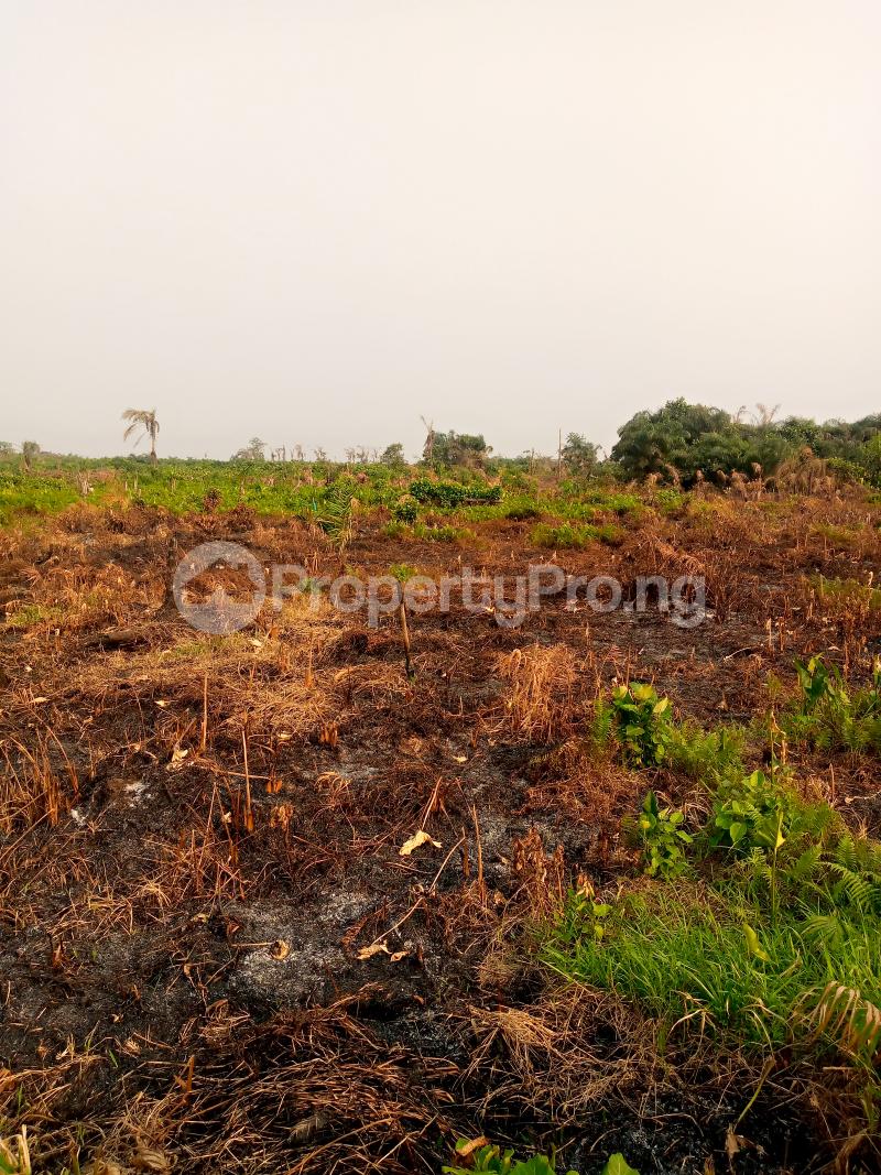 Buy 1 Plot Of Land in Ijegun, Ikotun/Igando Lagos (2JADZ) | PropertyPro ...