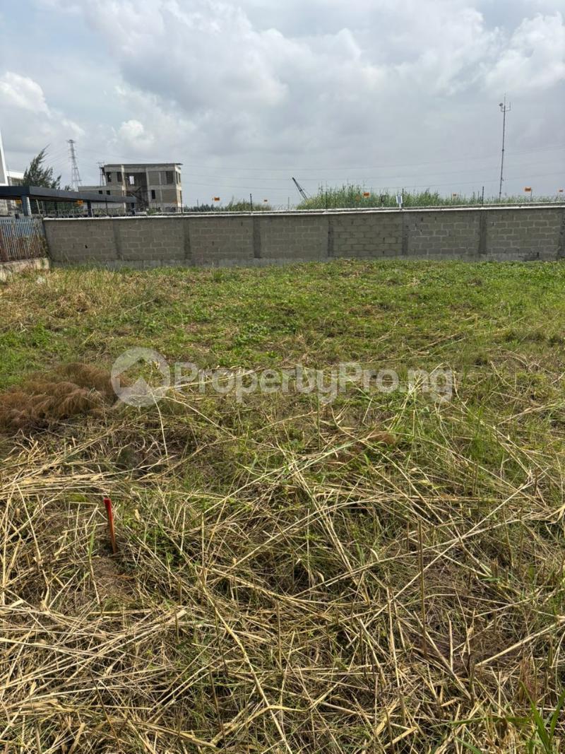 Buy Land Measuring 1000sqm in Victoria Island Lagos (4NLLQ ...