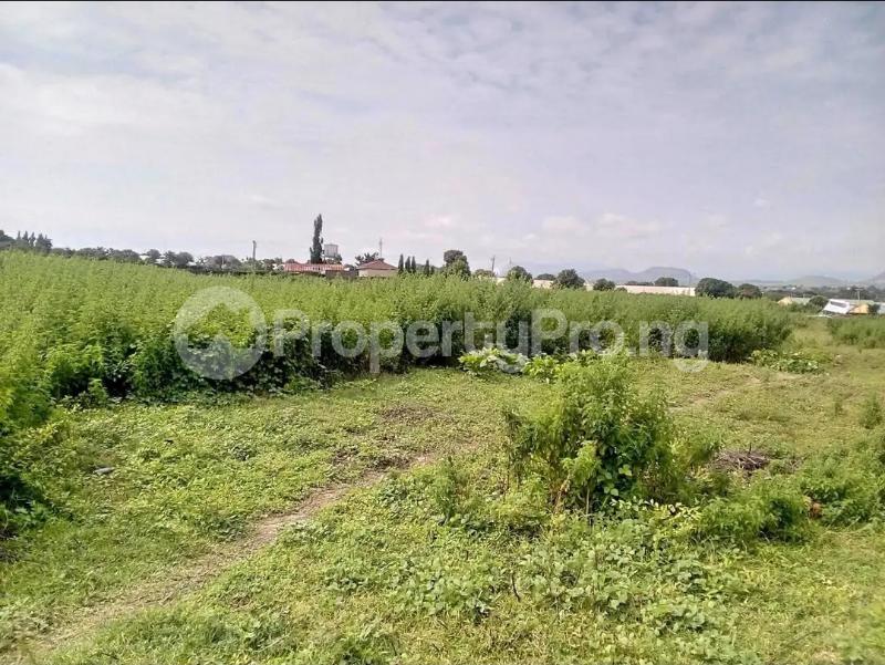 Buy 6 Hectares Of Farm Land in Kuje Abuja (4MCDG) | PropertyPro Nigeria