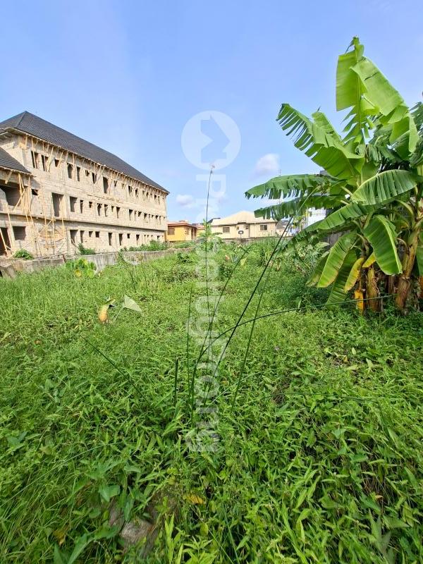 Buy Dry Full Plot In Greenfield Estate in Ago palace, Okota Lagos ...