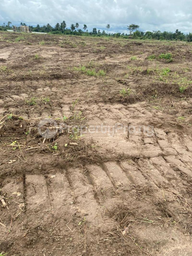 Land in Epe Lagos | Land for sale in epe | Land in epe | PropertyPro ...