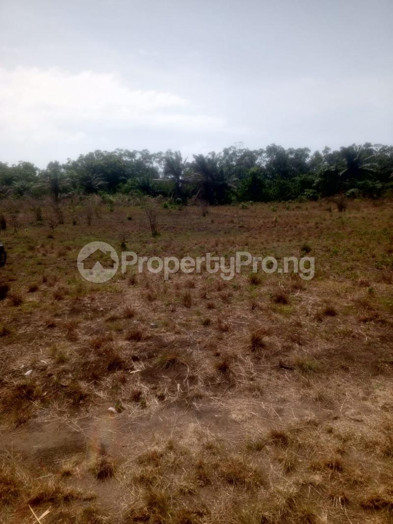 Buy Land in Akodo Ise, Ibeju-Lekki Lagos (7MRDB) | PropertyPro Nigeria