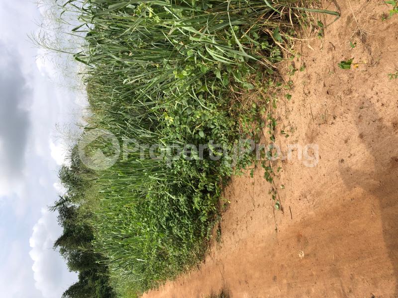 Buy 620 Sqm Of Land in Magodo GRA Phase 1, Ojodu Lagos (2MFSC ...
