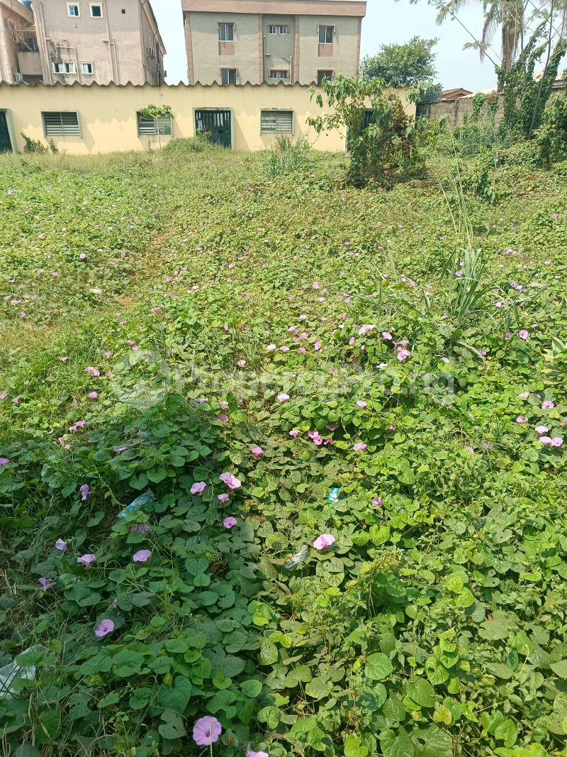 Buy Full Plot Of Land in Ijegun, Ikotun/Igando Lagos (4KVTY ...