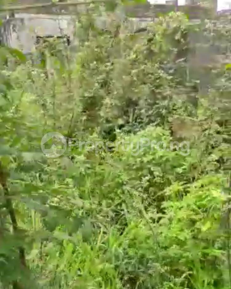 Buy Full Plot Of Land At Behind Magodo Phase 1...survey, Receipt And ...