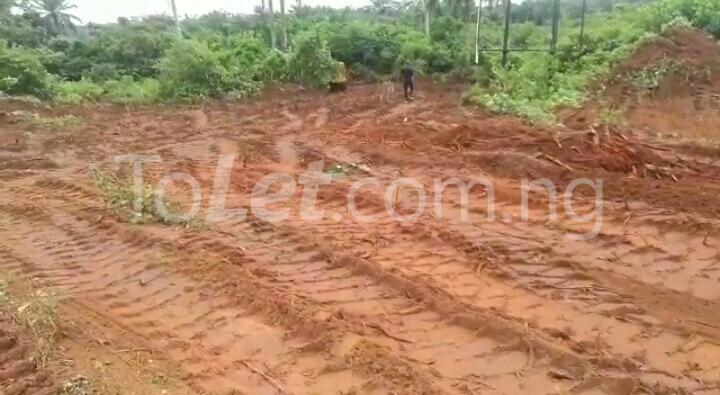 Buy Land At Berry Court, Beside International Breweries, Sagamu ...