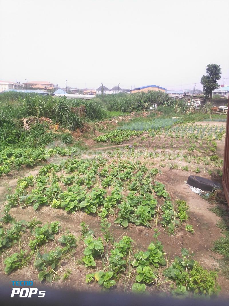 Buy Land in Ogudu Lagos (7MGQP) | PropertyPro Nigeria