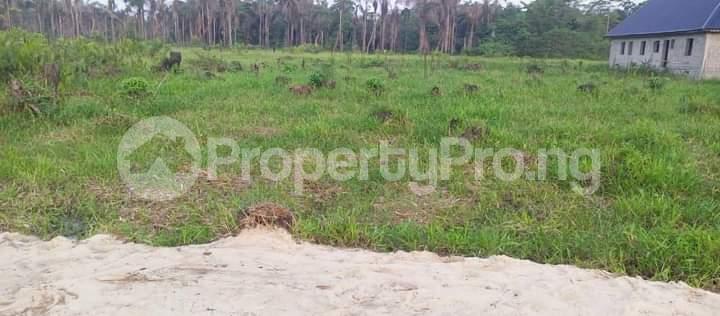 Land in Okun Ajah Ajah Lagos | Land for sale in ajah | Land in ajah ...