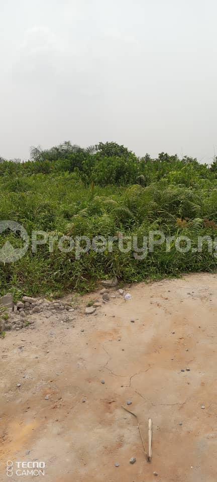 Buy Land in Ijegun, Ikotun/Igando Lagos (8HWZB) | PropertyPro Nigeria