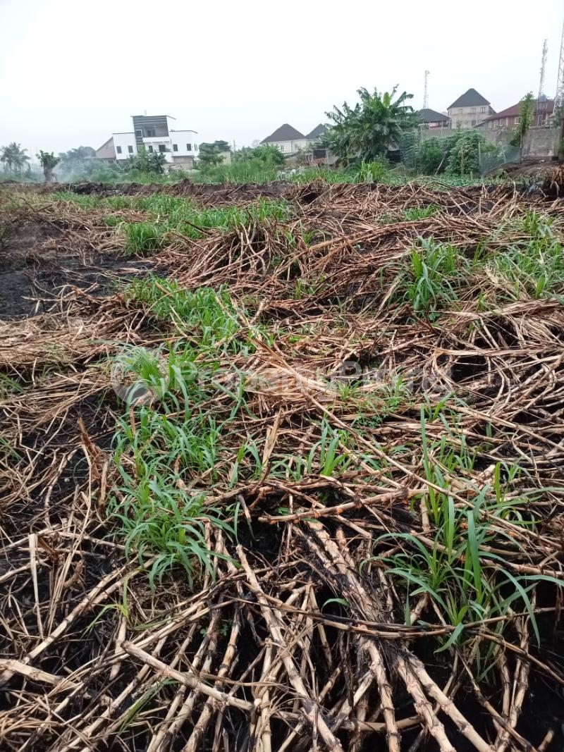 Buy The Land Of 1231 Sqm in Millenuim/UPS, Gbagada Lagos (4KTEW ...